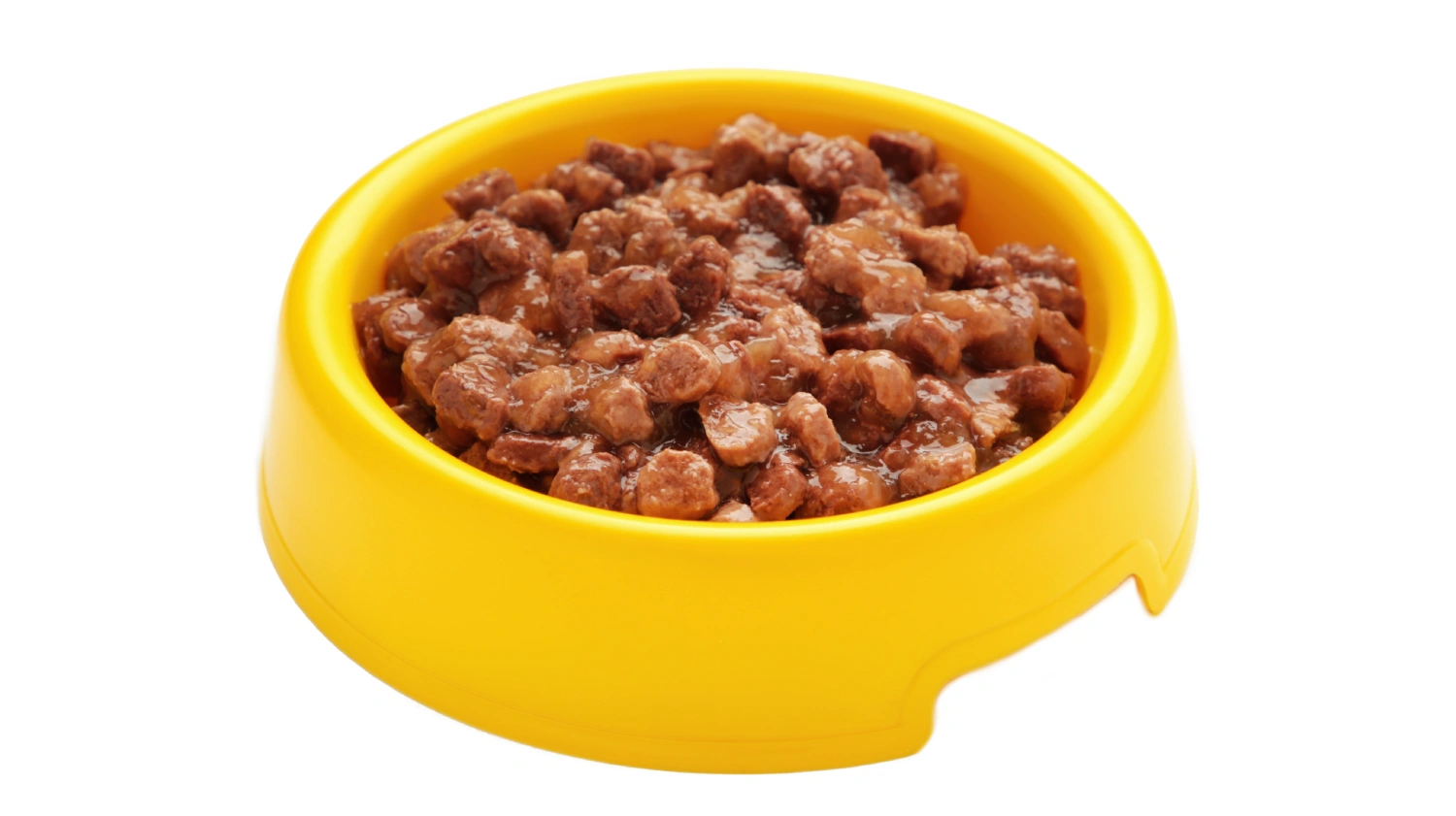 ¿Por Qué No Se Debe Mezclar el Alimento Húmedo con el Seco en Mascotas ...